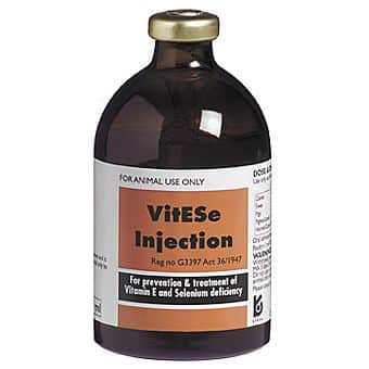 VitESe Injection - Vitamin E Acetate and Selenium (100ml) - Vet ...