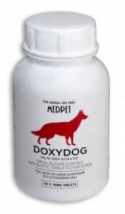 Doxydog 100MG (100 tablets) - Vet Products Online