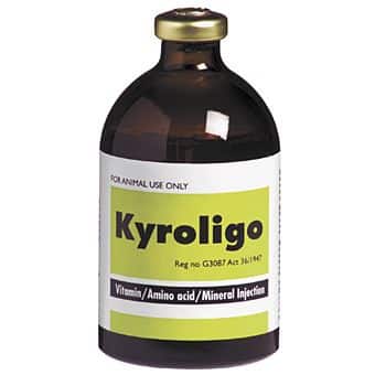 KYROLIGO INJ 100ML *COLD CHAIN* - Vet Products Online