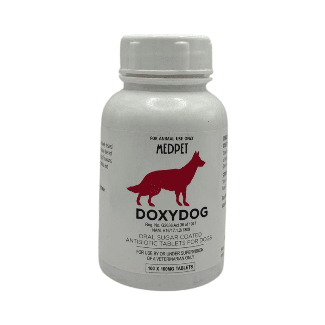 Quantum Silver Liquid Solution (1 Litre) - Vet Products Online