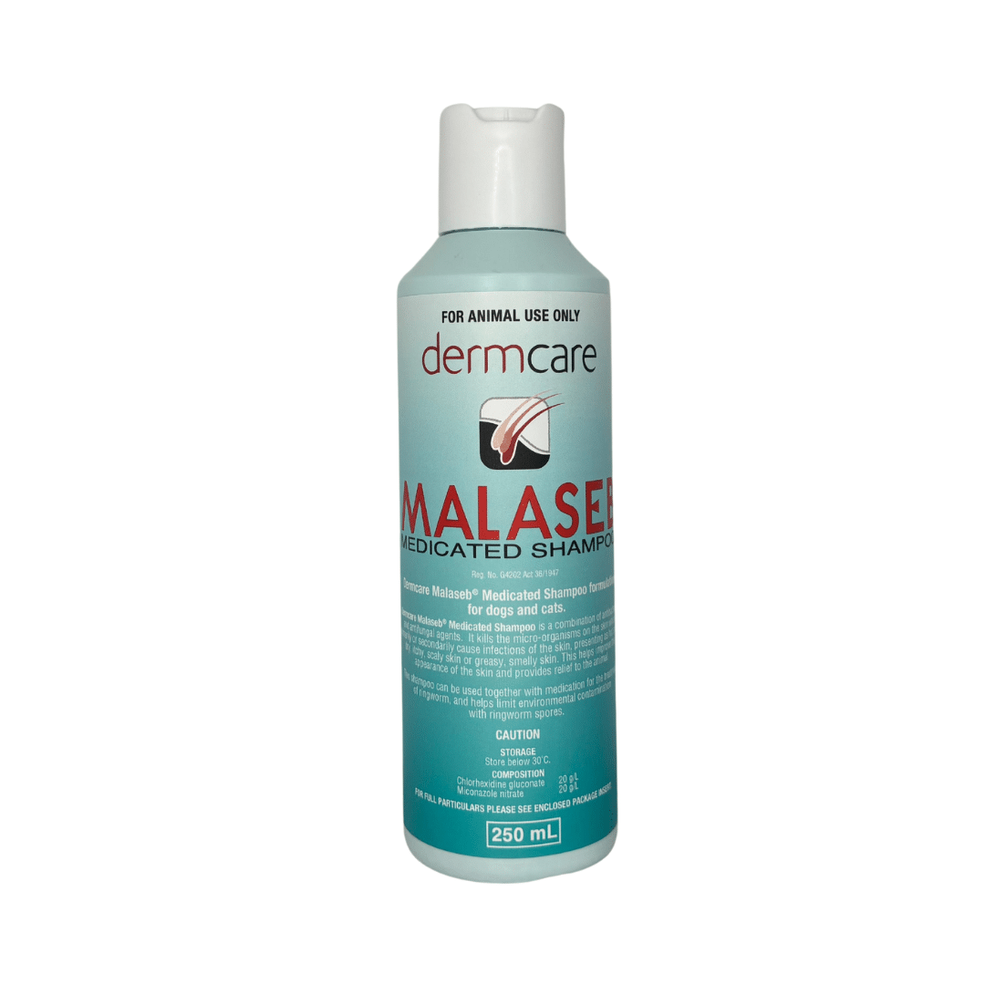 Malaseb Medicated Shampoo (250ml) - Vet Products Online