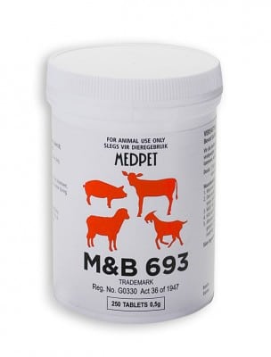 Horse Antibiotics | Vet Products Online