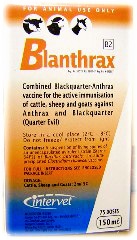 Cattle Vaccines | Vet Products Online