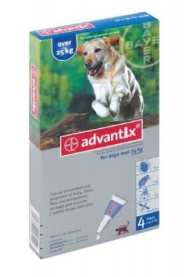 ADVANTIX X/L DOG (BLUE) 25kg+ - Vet Products Online