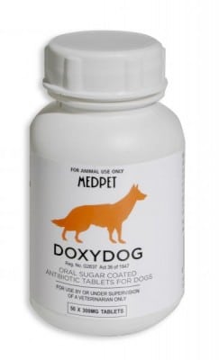 Doxydog 300MG (50 Tablets) - Vet Products Online