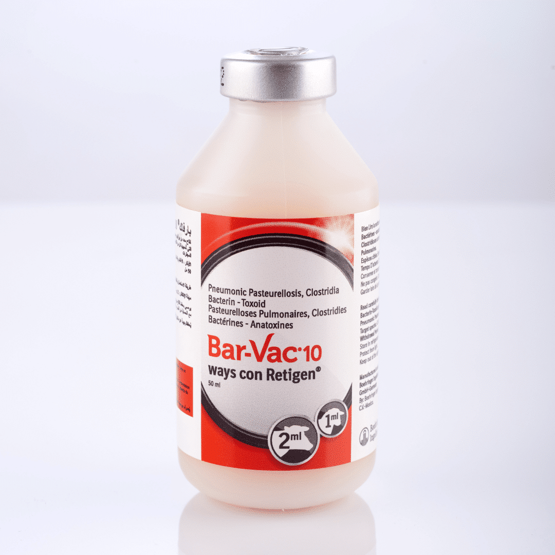 Bar-Vac 10 (100ml) - Vet Products Online
