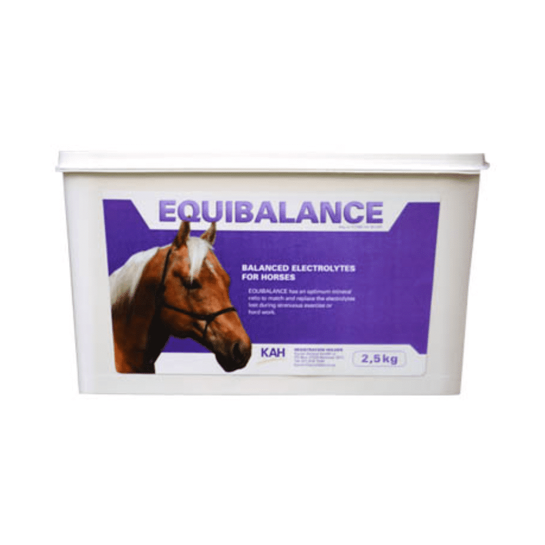 Horse Vitamin, Mineral And Electrolyte Supplements | VPO