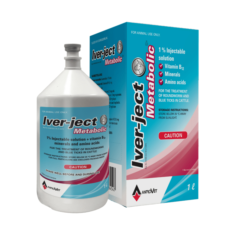 Ivomec 1% Injectable Antiparasitic for Cattle, Sheep, Pigs and ...