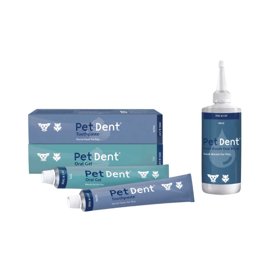 Pet Dent Oral Gel with Zinc and Chlorhexidine for Dogs and Cats (60g ...