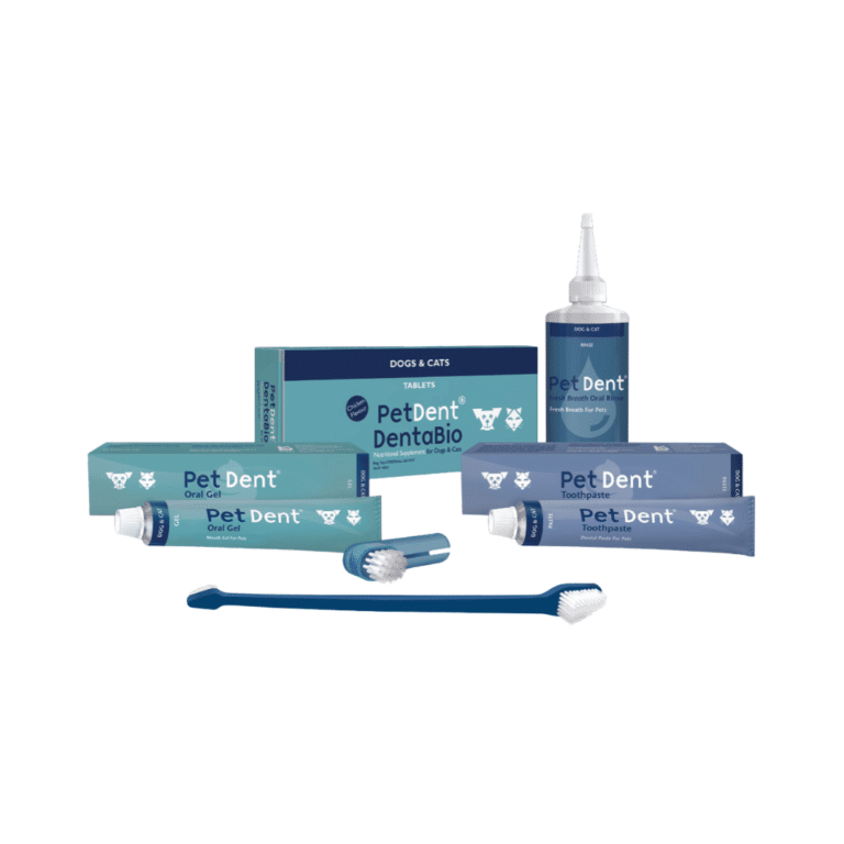 Pet Dent Oral Gel with Zinc and Chlorhexidine for Dogs and Cats (60g ...