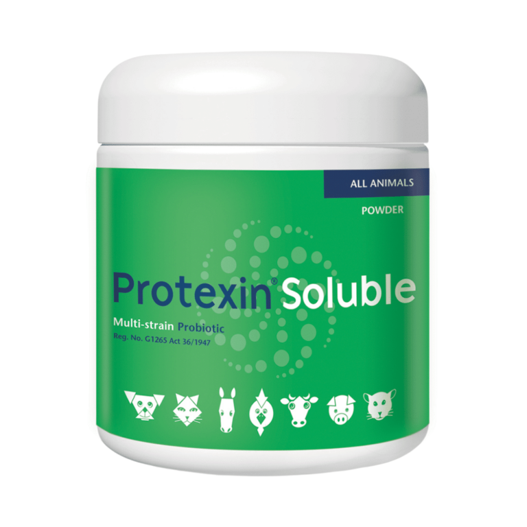 Protexin Soluble Probiotic (250g) - Vet Products Online
