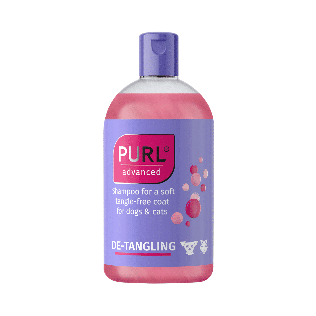 Purl Detangling Shampoo for Dogs and Cats (250ml) - Vet Products Online