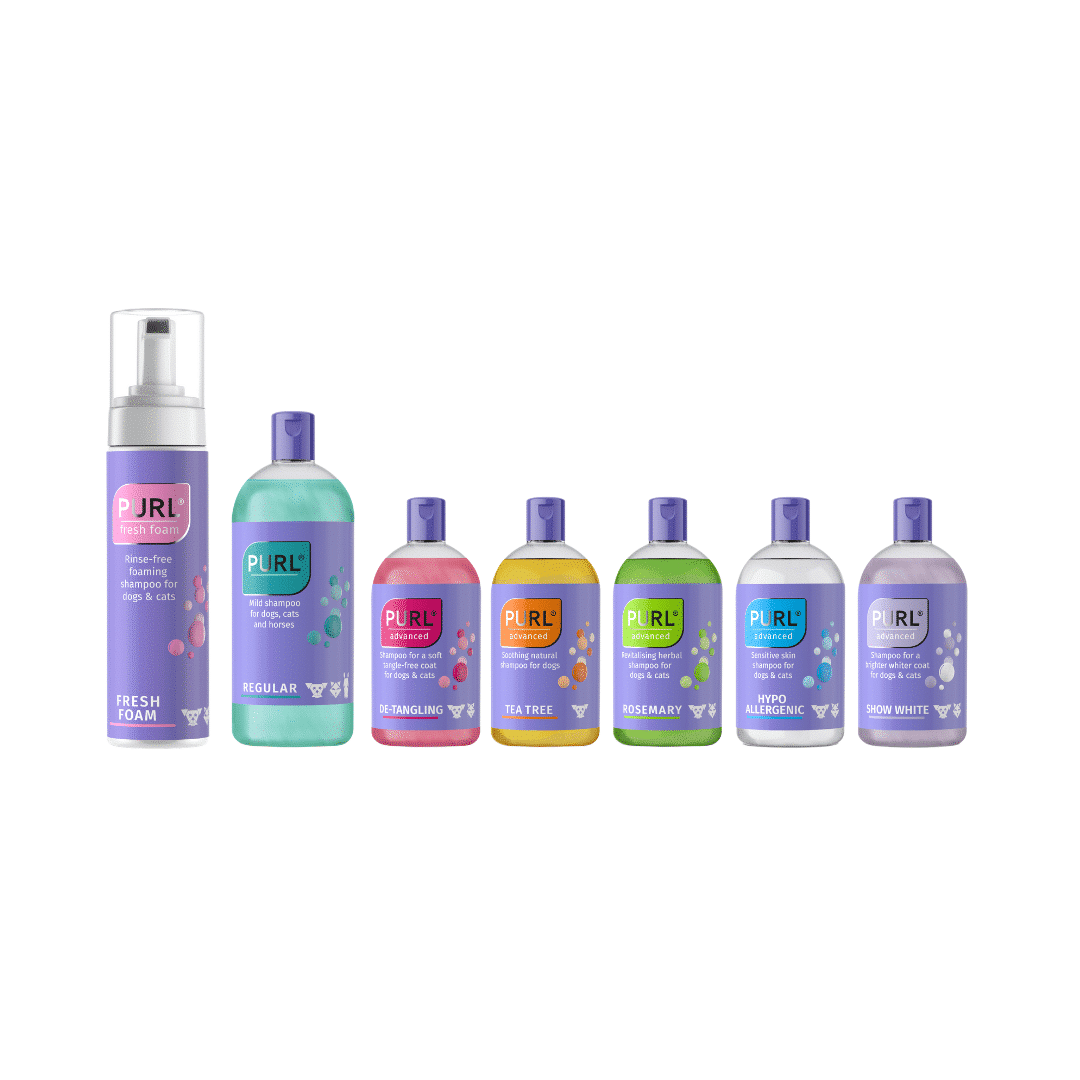 Purl Regular Shampoo (500ml) - Vet Products Online