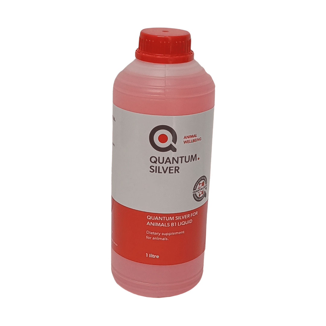 F10 SC Veterinary Disinfectant (5 Litre) - Vet Products Online