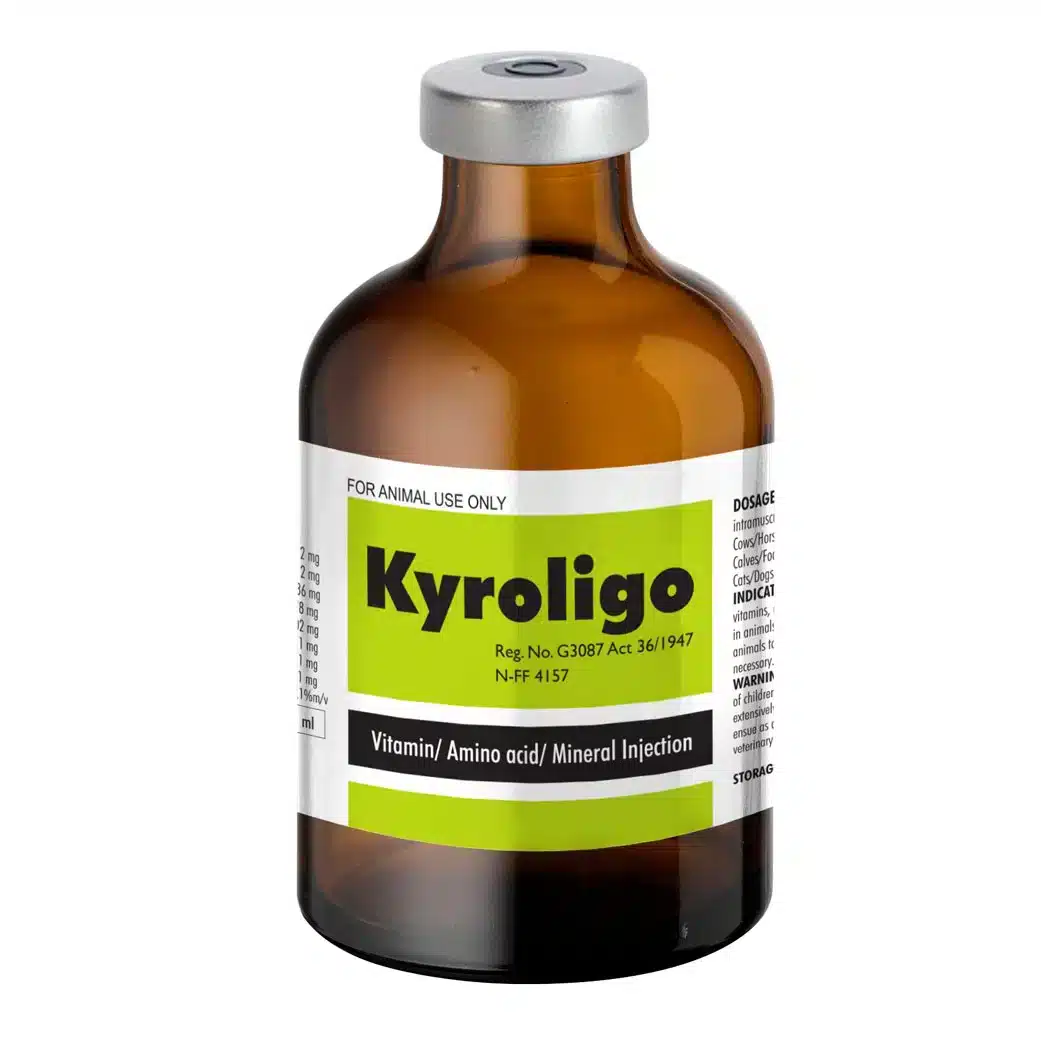 Kyroligo Vitamin/ Amino acid/ Mineral Injection (100ml) - Vet Products ...