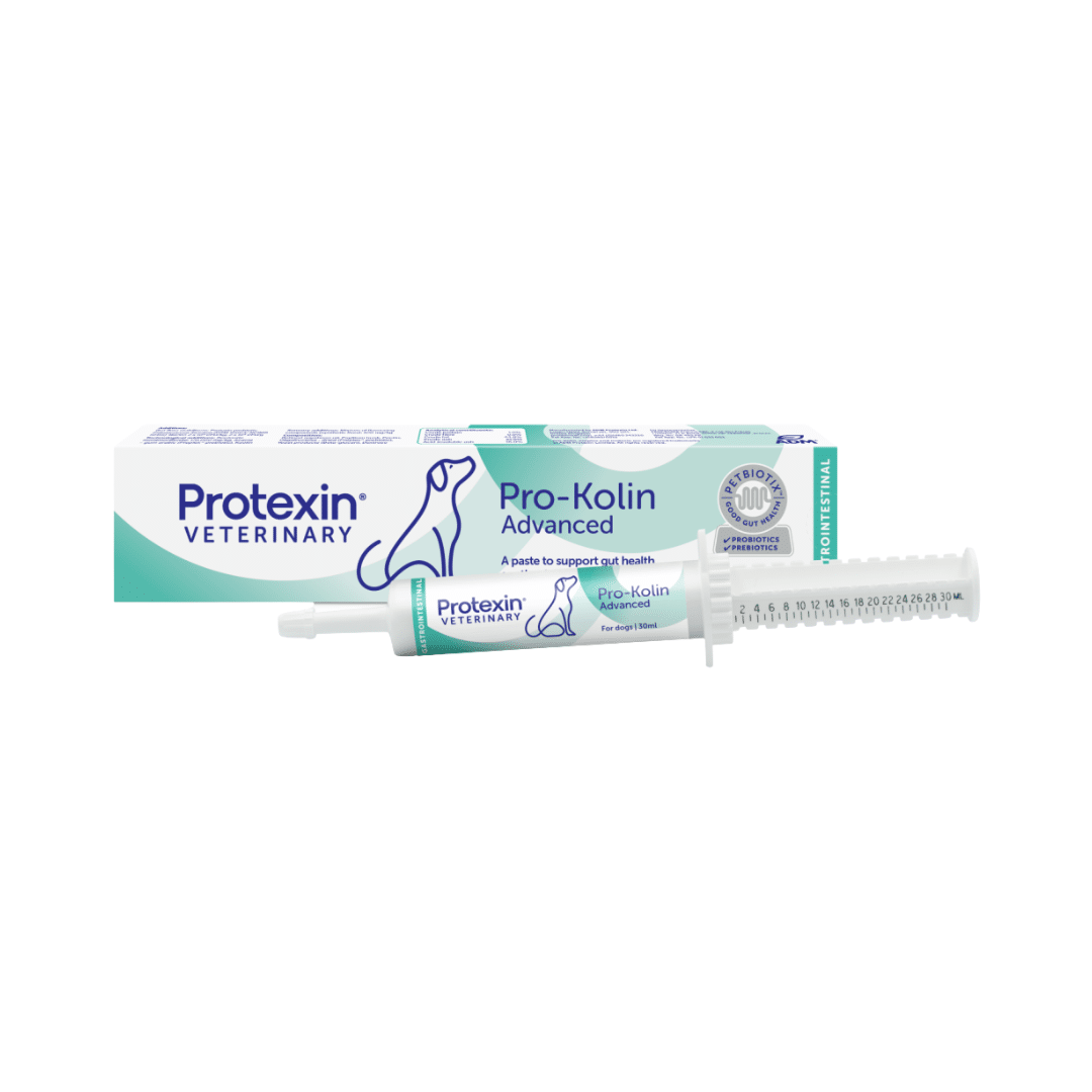 Pro-Kolin Advanced for Dogs (30ml) - Vet Products Online
