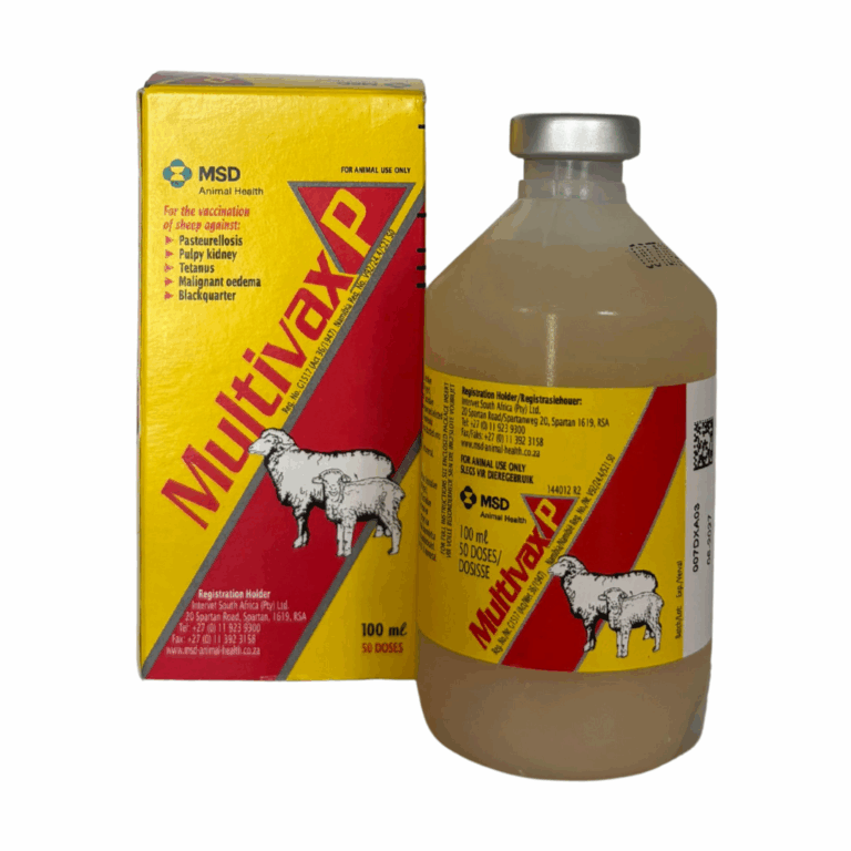 Multivax-P (100ml) (Fridge) - Vet Products Online